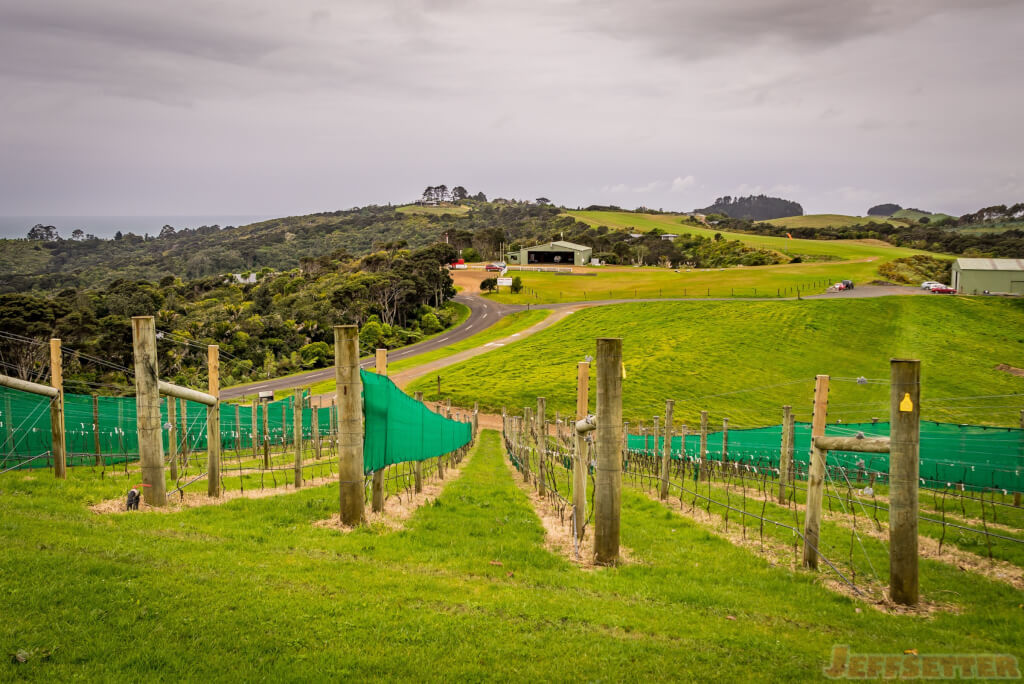 Wineries: Batch Winery Waiheke Island - Jeffsetter Travel