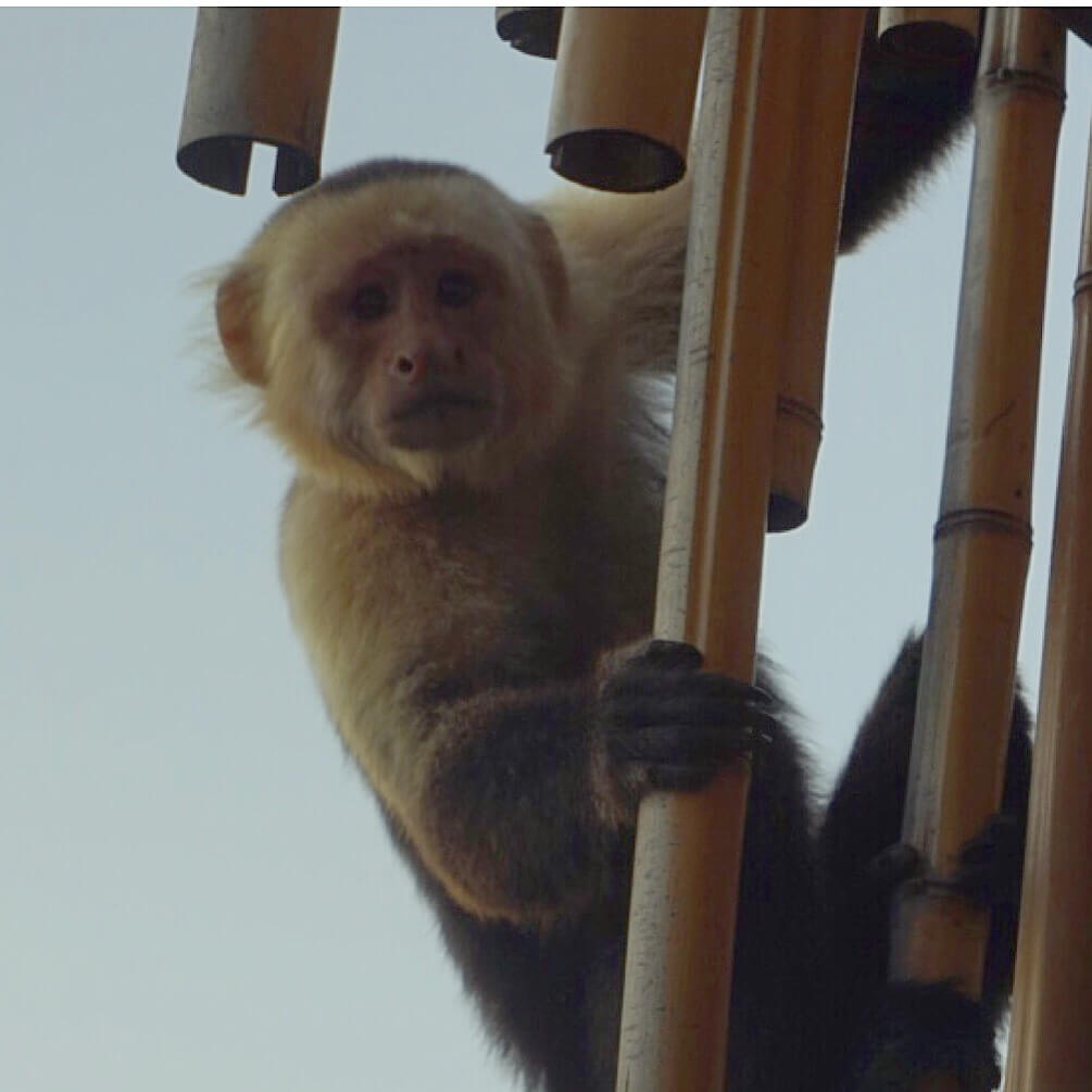 Tamarindo - Jeffsetter Travel