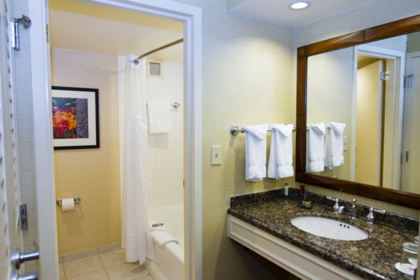 Marriott is Switching to In-Shower Dispensers - Jeffsetter Travel