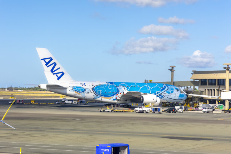 Third ANA Flying Honu is Entering Service - Jeffsetter Travel